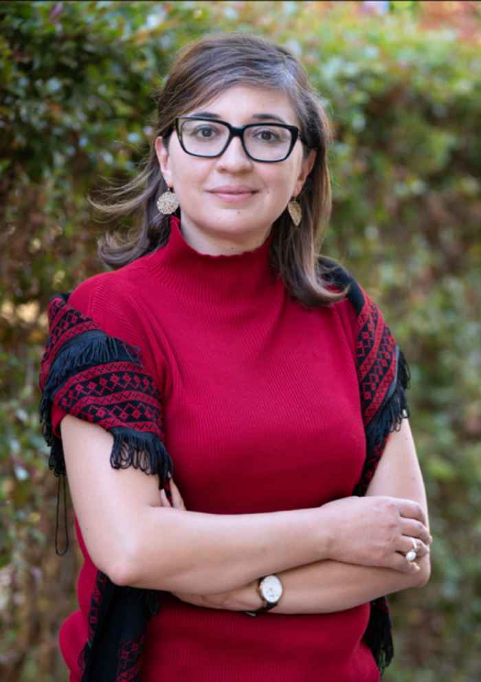 Against Exclusion: Palestinian Citizens in Israel and the Struggle for ...